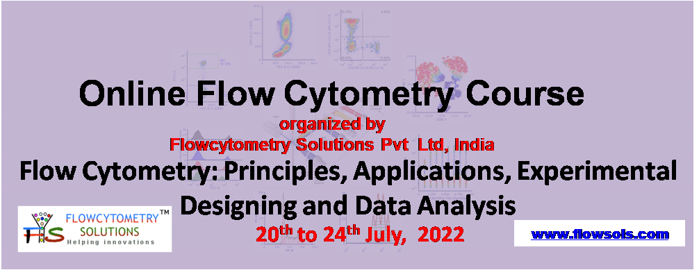 Workshops – FlowSols